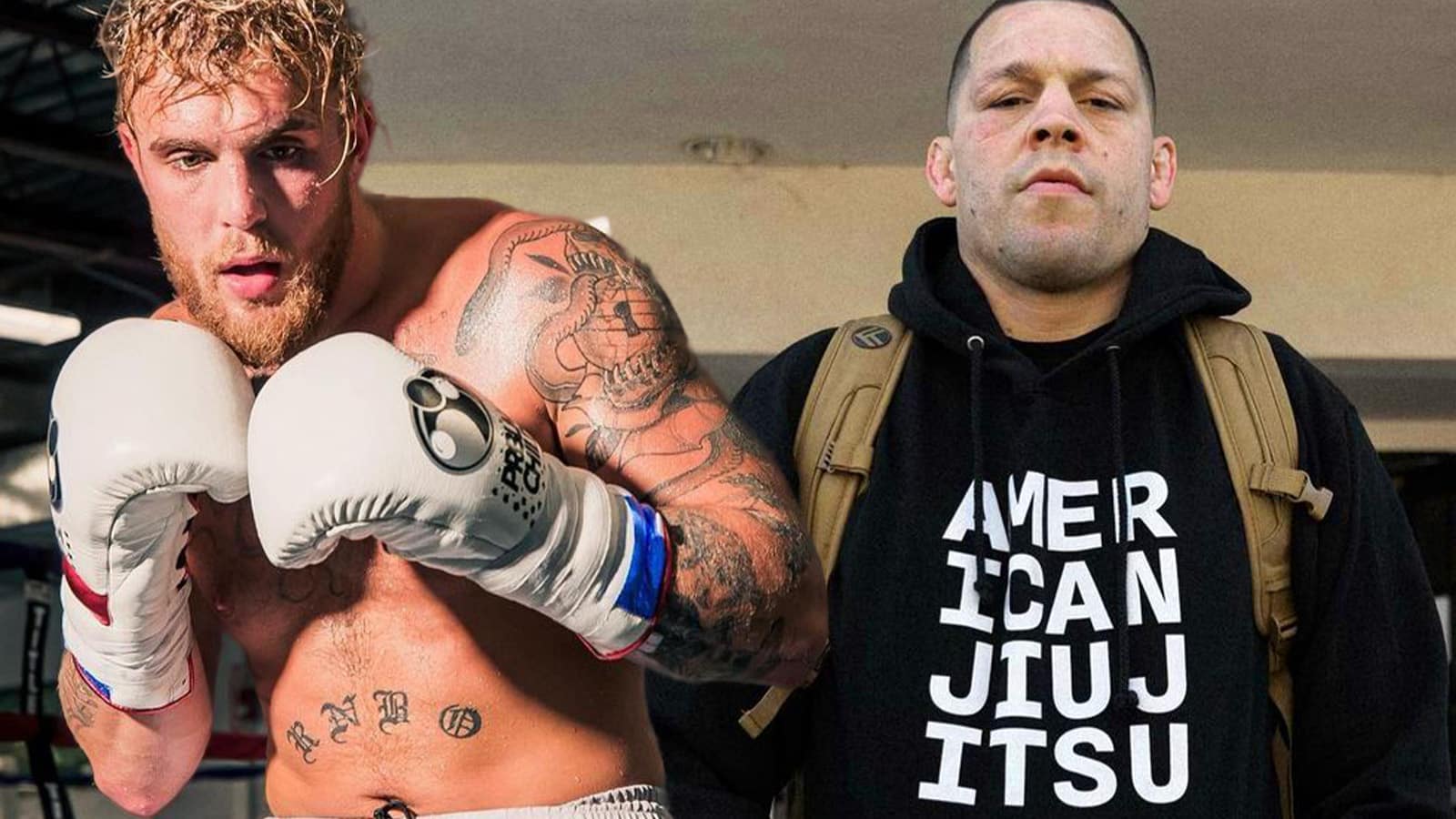 Former UFC star Chael Sonnen claims Jake Paul “needs” Nate Diaz fight ... Former UFC star Chael Sonnen claims Jake Paul “needs” Nate Diaz fight ...